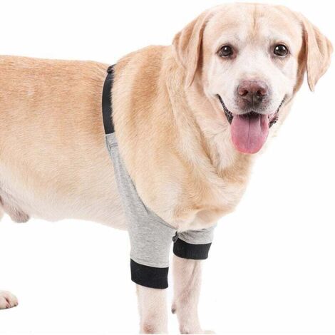 (gris, grand) Protecteur de coude pour chien manchon de jambe avant ...