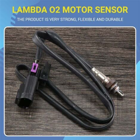 Sonda del sensor de oxígeno del motor O2 para gasolina BN251 TNT25 TNT250 / BN TNT 25 250 251