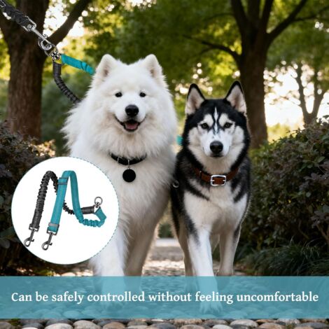Doppelleine für 2 Hunde, Doppelleine für zwei Hunde, verwicklungsfrei ...