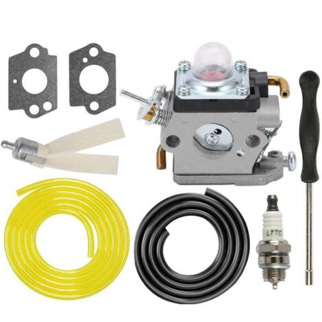 Carburatore con guarnizione, tubo carburante, cacciavite per ...