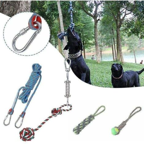 Federstab-Spielzeugset für Hunde, Outdoor-Hängeübung, Baumwollseil ...
