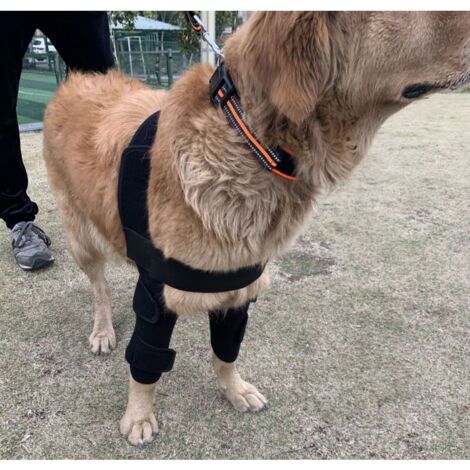 Almohadilla transpirable para el codo y el hombro de perro, ideal para ...