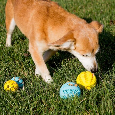 Dog Toy with Kibble Dispenser, Indestructible Interactive Dog Chew Toy ...