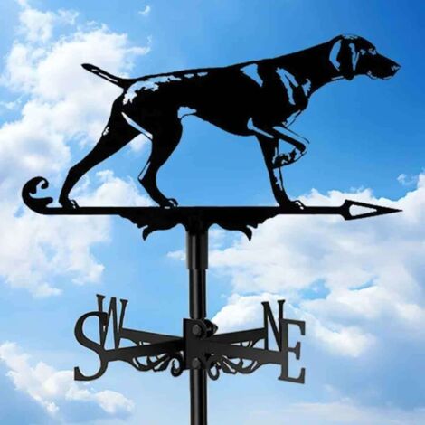 Vtizikl Girouette en métal Vintage Noir avec indicateur de Direction du ...