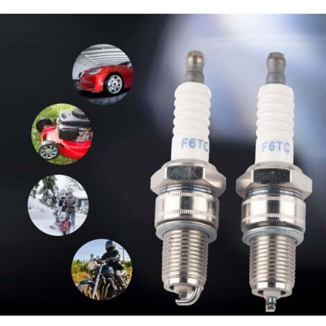 Satz mit 2 F6RTC-Zündkerzen für MTD 95110292 75110292 Torch Motor ...