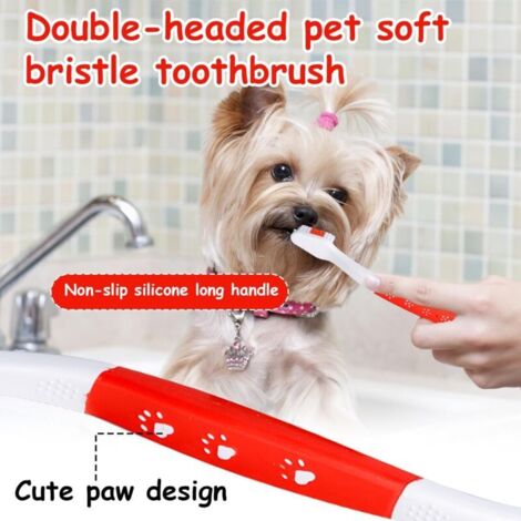 Set mit 3 doppelseitigen Haustierzahnbürsten, Zahnbürste mit weichen ...