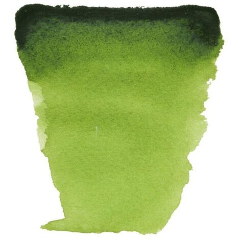 Peinture aquarelle van Gogh godet Vert de Vessie 623