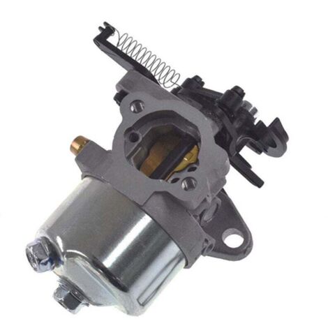 Carburateur Compatible Briggs Et Stratton 591852 590834 793493 793463 ...