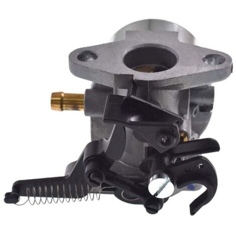 Carburateur Compatible Briggs Et Stratton 591852 590834 793493 793463 ...