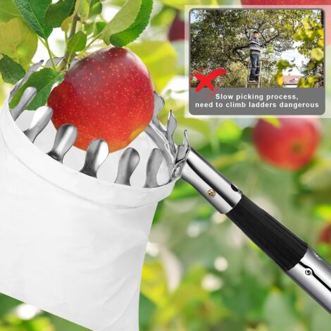Cueilleur de pommes pour arbres hauts perche de cueillette de 3.5m ...
