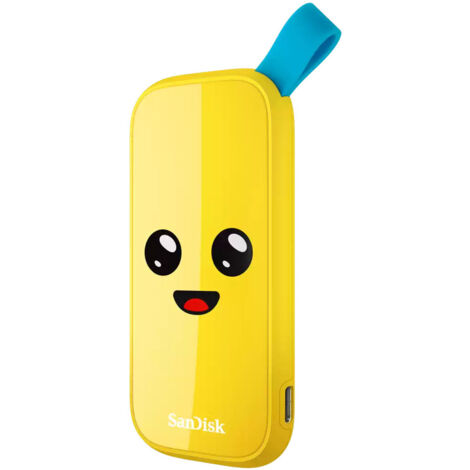 SanDisk SDSSDE30-1T00-G25F Externes Solid State Drive 1 TB USB Typ-C 3. ...