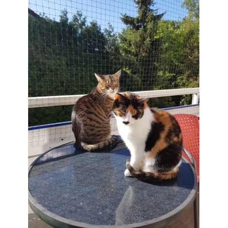 Filet de Protection pour Chat, 8x3m, Renforcé, Résistant aux ...