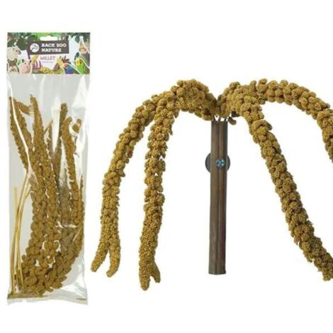 Millet jaune en bouquet de Back Zoo Nature Bouquet de millet jaune en ...