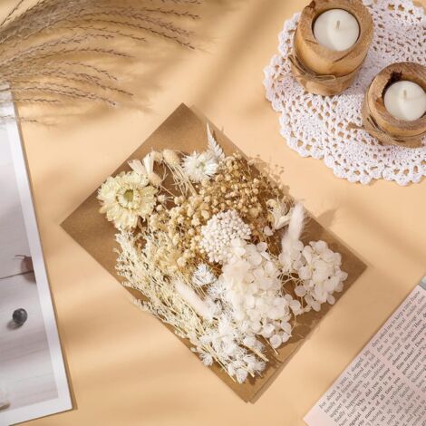 Dried Flowers, Real Pressed Dried Flowers and Natural Dried Leaves ...
