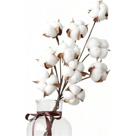 10 Natural Dried Cotton Flowers + 5 Cotton Head Flowers, Bouquet Dried ...