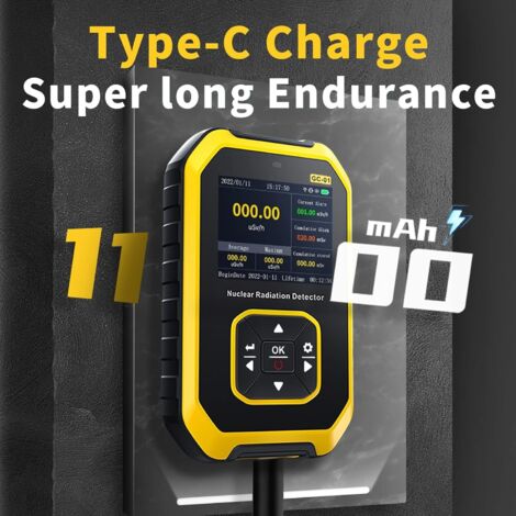 Compteur Geiger Surveillance en Temps Réel β γ X-Ray Multifonctionnel ...