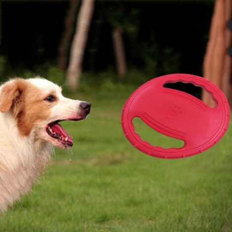 1 Morceau de Chiens Frisbees ,Frisbee en Caoutchouc, jouets pour chien ...