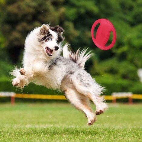 1 Morceau de Chiens Frisbees ,Frisbee en Caoutchouc, jouets pour chien ...