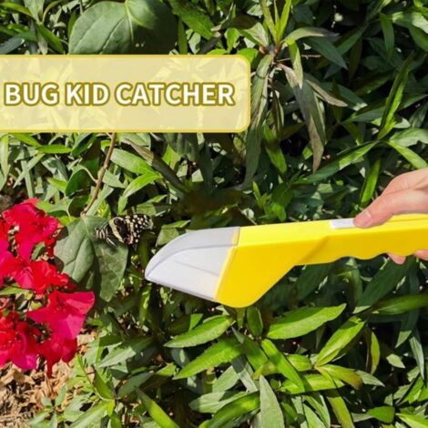 Piège à insectes - Jaune