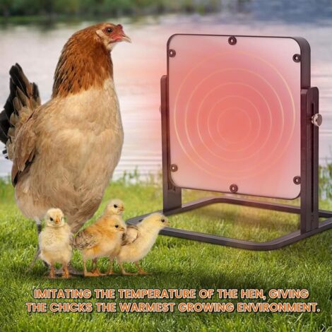 Plaque Chauffante Poussin Incubateur Poussin Chauffe-poussins Plaque ...