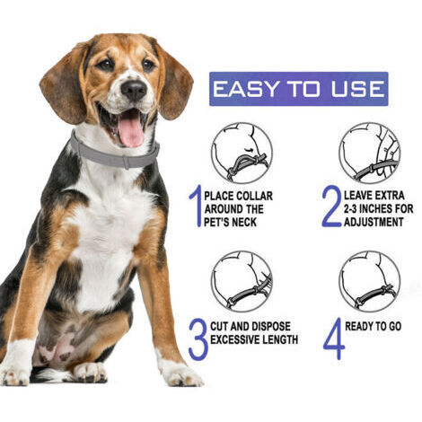 Collier anti-puces et anti-tiques réglable pour la protection anti ...