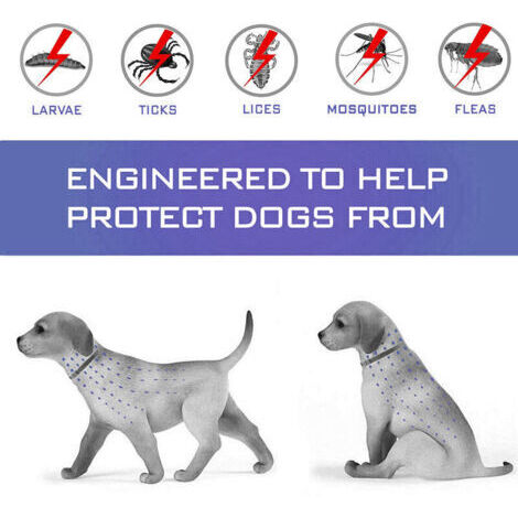 Collier anti-puces et anti-tiques réglable pour la protection anti ...