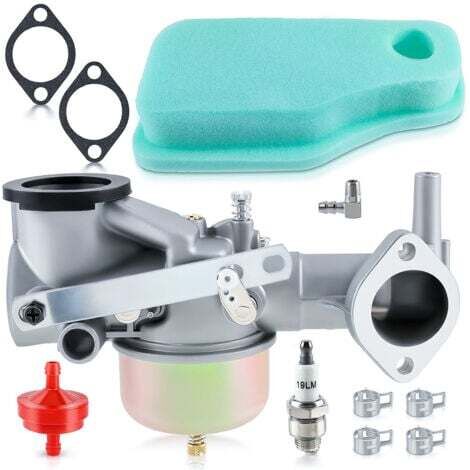 Carburateur 491590 pour moteur B&S 491590 390811 392152 série 190702 ...