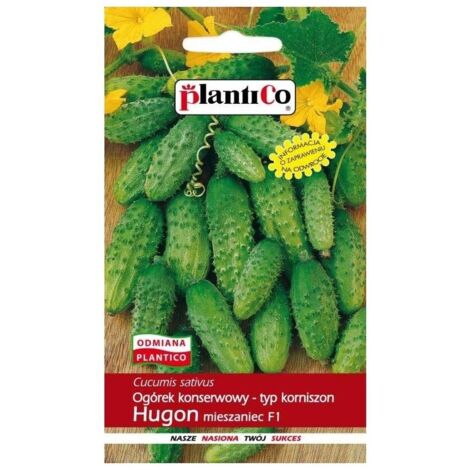 Freilandgurke F1 Hugon 5 g PLANTICO