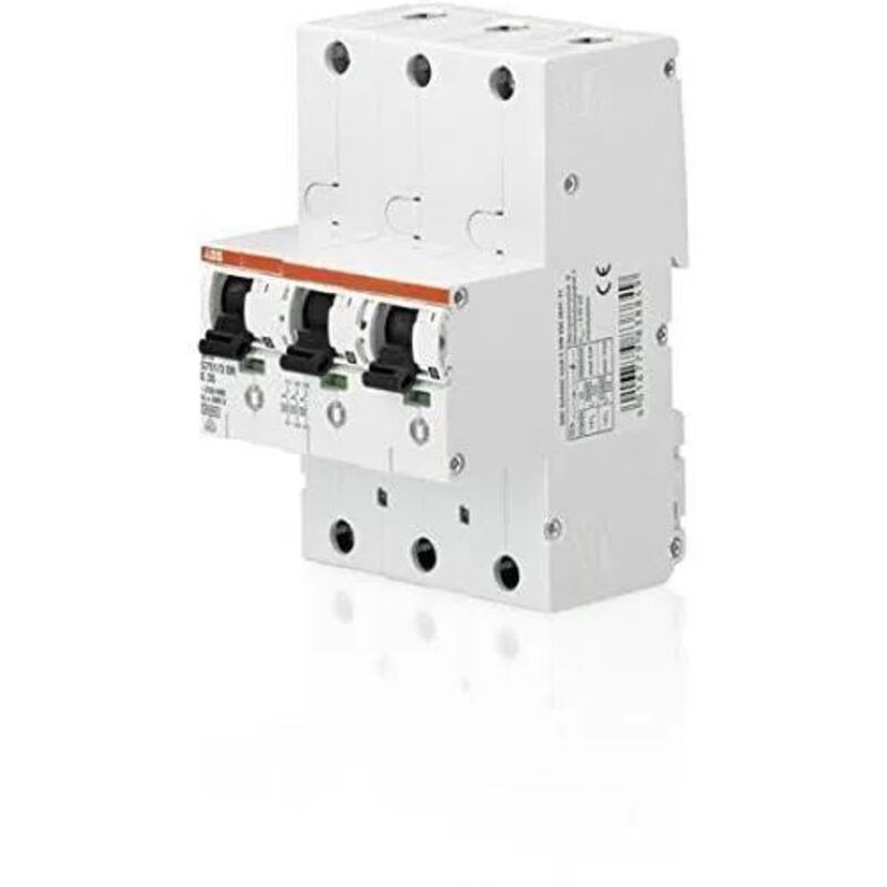 ABB Interruptor automático principal 35 A 230 V