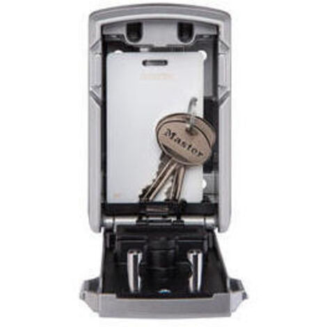 MASTER LOCK 5441EURD caja fuerte Caja fuerte de pared Gris