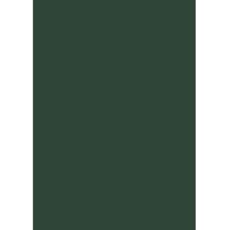 Peinture - Rénove Résine 0.5L - Vert mousse - Brillant - Multi-supports ...