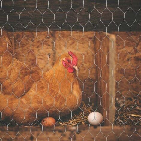 Grillage à poule en métal galvanisé hexagonal de 0,35 x 4 m (maille ...
