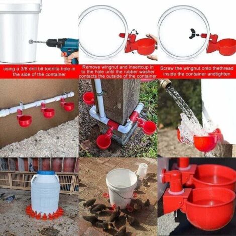 6pcs automatiques Supplies Abreuvoir Poules Tasses à Bol Bol en ...