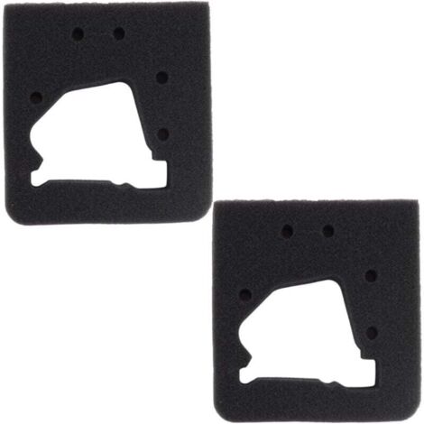 Pack de 2 éléments de filtre à Air 17211-ZM3-800 pour Honda GX22 GX31 GX 22 GX 31 moteur FG100 ...