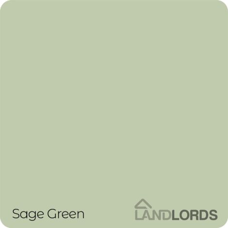 Landlords Paint - Matt Paint - Smooth Matt Finish for Walls & Ceilings ...