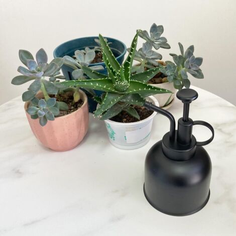 Pulvérisateur acier inox – 0,3 L – arrosage/pulvérisation – plantes en ...