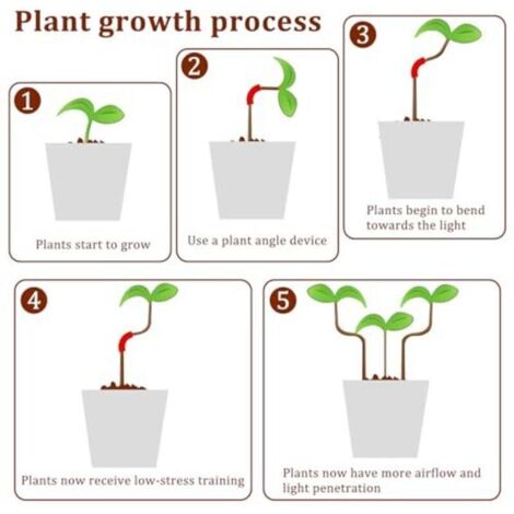 Pinces de tuteurage, 150 pièces, clips LST, clips de palissage à faible ...