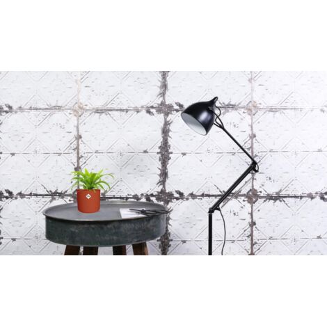 Asplenium Antiquum - Ø12cm - H19cm– ComfortXL Green