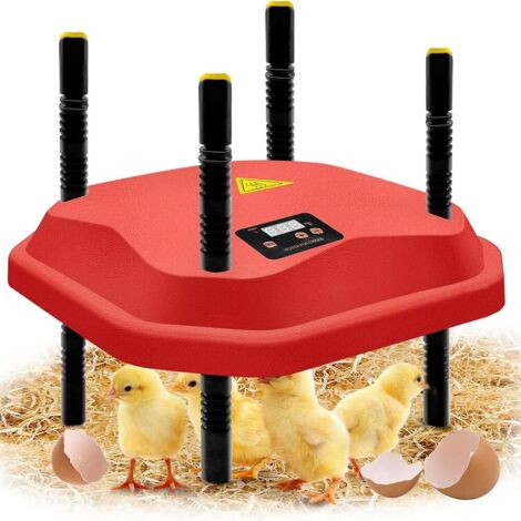 Chick heating plate, chick warming plate, chick warming plate Comfort ...