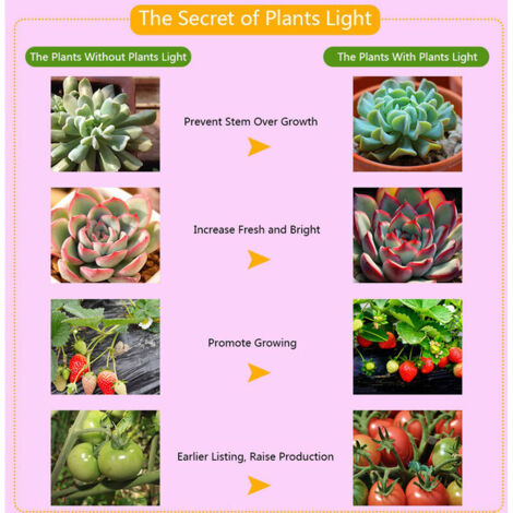 5W E27 LED élèvent la pleine ampoule de spectre d'ampoule pour des ...