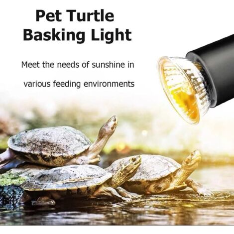 4 E27 Lampe Tortue,25W Ampoule Chauffante,Lampe Chauffante Terrarium ...