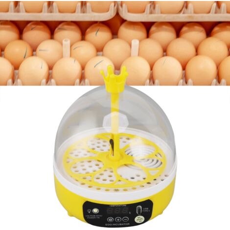Couveuse automatique Mini pour 4 œufs Température contrôlée Incubateur ...