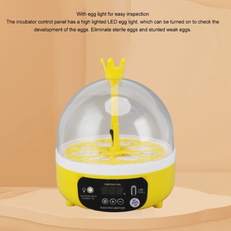 Couveuse automatique Mini pour 4 œufs Température contrôlée Incubateur ...