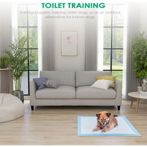 100 Pièces Tapis Absorbant Chien, 33 × 45 cm Alaise Jetable Alèse Pipi ...