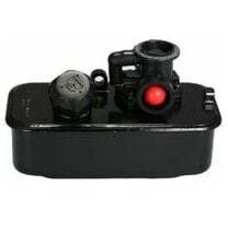 Briggs & Stratton Réservoir de carburant + carburateur 494406 498809 ...