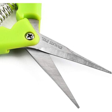 Sécateur jardin pro lame droite inox ressort bonsaï précision vert