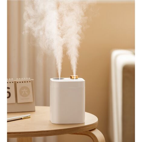 Humidificateur portable, mini humidificateur rechargeable par USB pour ...