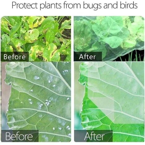 Filet Anti-Insectes - Végétal - Protection des Plantes - Mailles ...