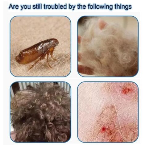 Peigne à Poux pour Chats et Chiens,Peignes Anti-Puces à Dents Fines ...