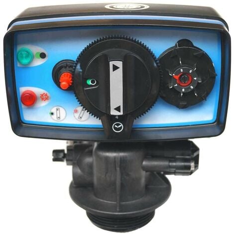 Vanne Fleck 5600 Chronométrique Inj. 2